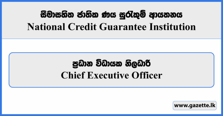 Chief Executive Officer - National Credit Guarantee Institution ...