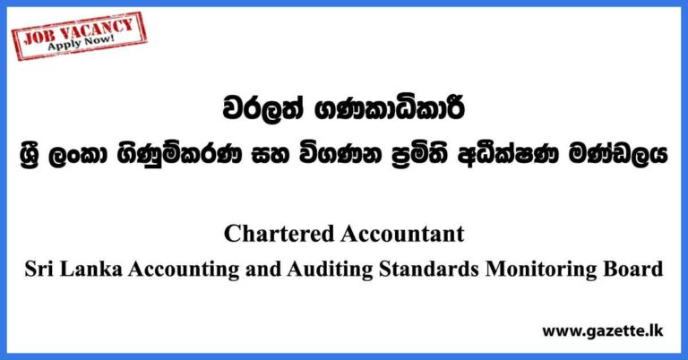 Chartered Accountant Vacancies 2023 - Sri Lanka Accounting and Auditing ...