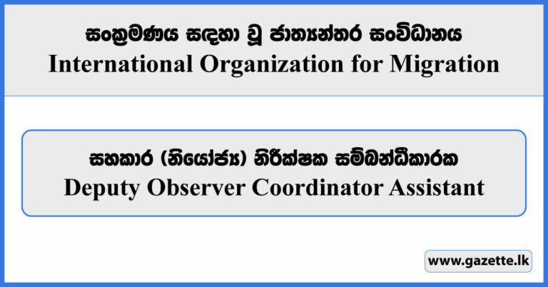 Deputy Observer Coordinator Assistant - International Organization for ...