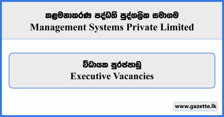 Executive - Management Systems Private Limited Vacancies 2025 - Gazette.lk