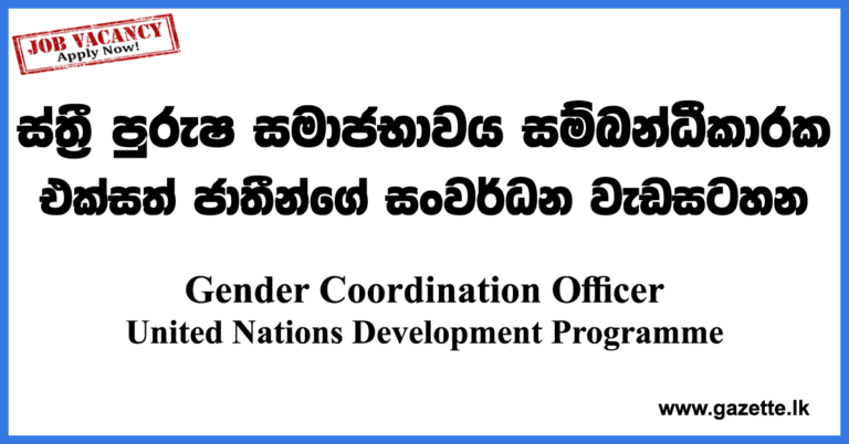 Gender Coordination Officer Vacancies - United Nations Development Programme (UNDP) 2022 ...