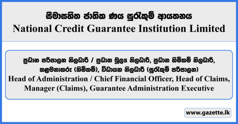 Head of Administration / Chief Financial Officer, Head of Claims ...
