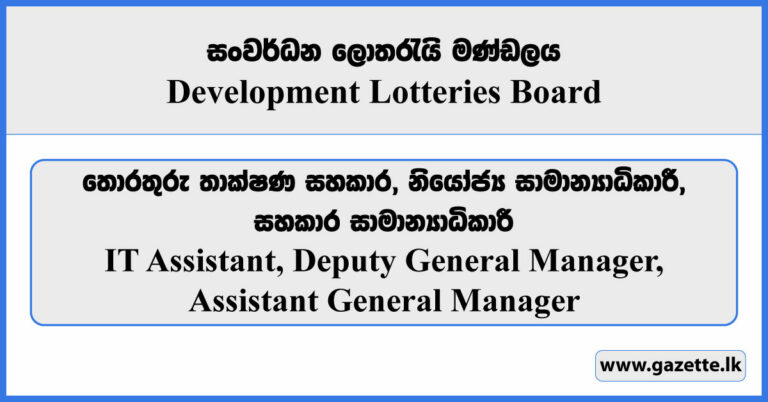 IT Assistant Job Vacancies - Gazette.lk