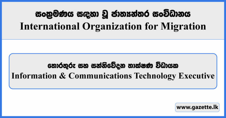 Information & Communications Technology Executive - International ...