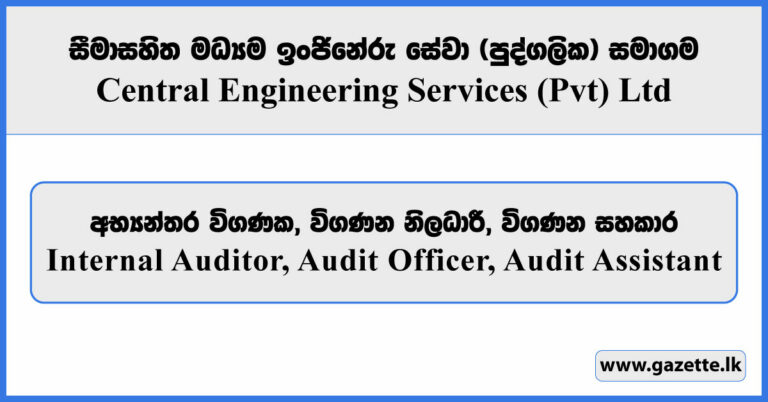 Internal Auditor, Audit Officer, Audit Assistant - Central Engineering ...