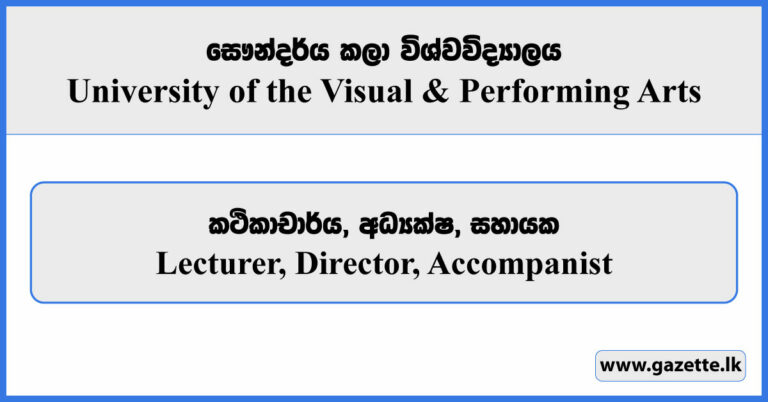 Lecturer, Director, Accompanist - University of the Visual & Performing ...
