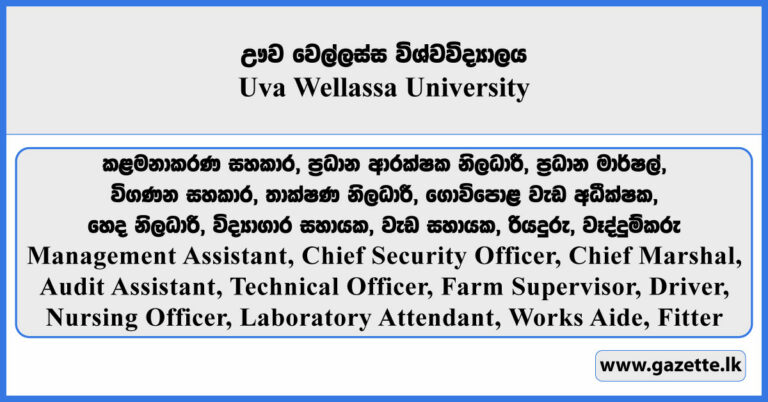 Management Assistant Job Vacancies in Government Private - Gazette.lk