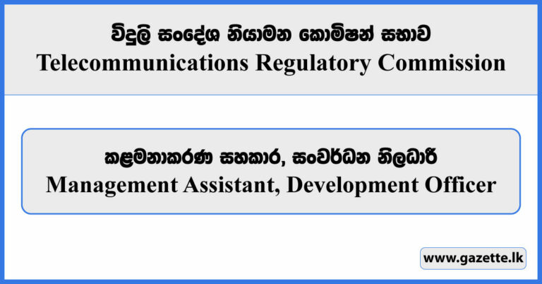 Management Assistant, Development Officer - Telecommunications ...