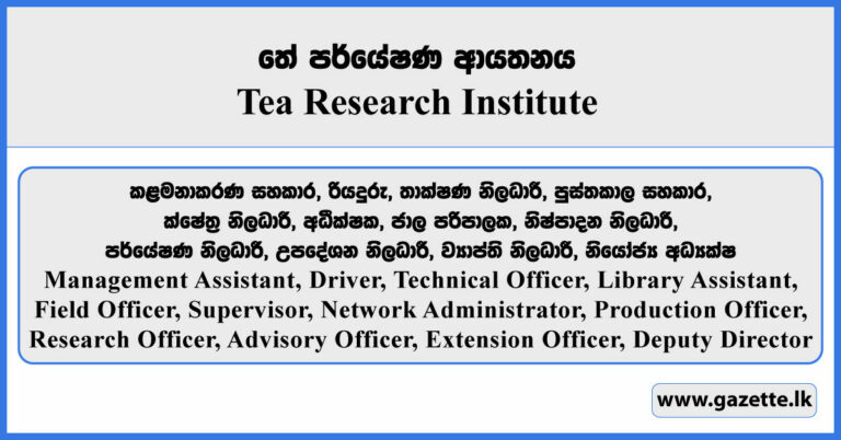 Management Assistant Job Vacancies in Government Private - Gazette.lk