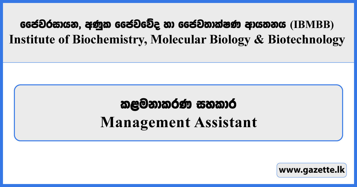 Management Assistant - Institute of Biochemistry, Molecular Biology and ...