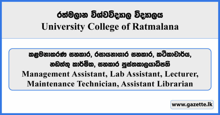 Management Assistant Job Vacancies in Government Private - Gazette.lk