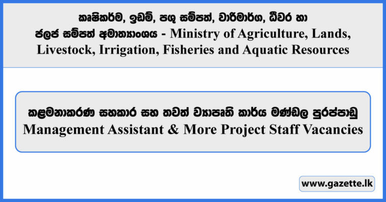 Management Assistant Job Vacancies in Government Private - Gazette.lk