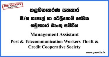 Management Assistant Job Vacancies in Government Private - Gazette.lk