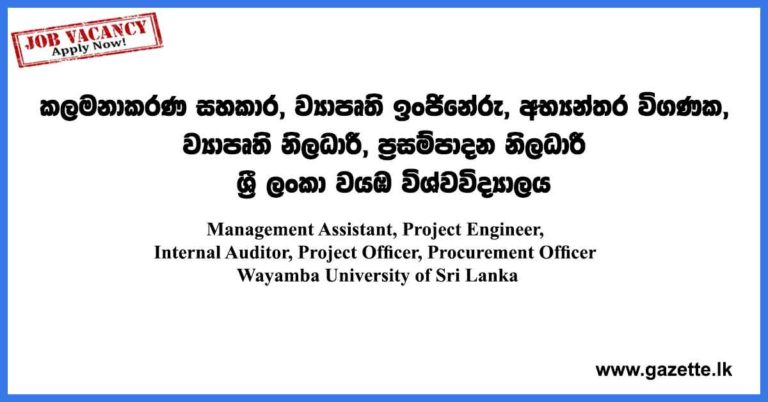 Management Assistant, Project Engineer, Internal Auditor, Project ...