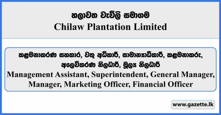 Management Assistant, Superintendent, General Manager, Manager ...