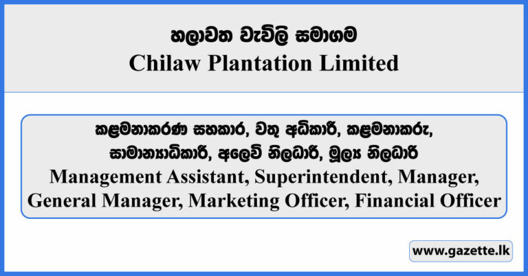 Management Assistant Job Vacancies in Government Private - Gazette.lk