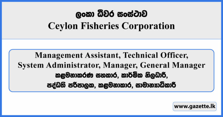 Management Assistant Job Vacancies in Government Private - Gazette.lk