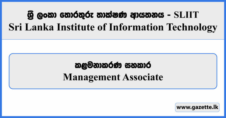 Management Associate Sri Lanka Institute Of Information Technology Sliit Vacancies 2025 