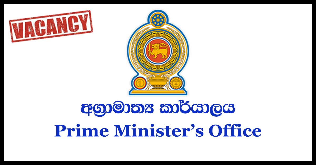 Program Associate, Trainee, Secretary to Secretary General, Deputy ...