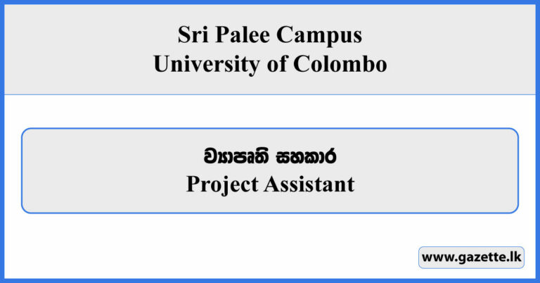 Project Assistant - Sri Palee Campus Vacancies 2025 - Gazette.lk