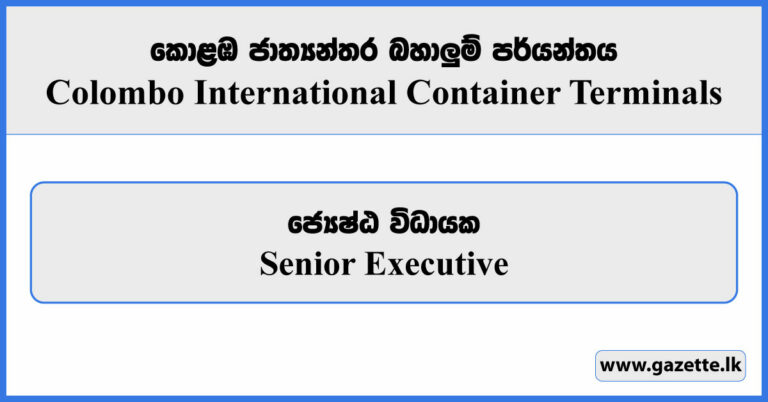 Senior Executive - Colombo International Container Terminals Vacancies ...