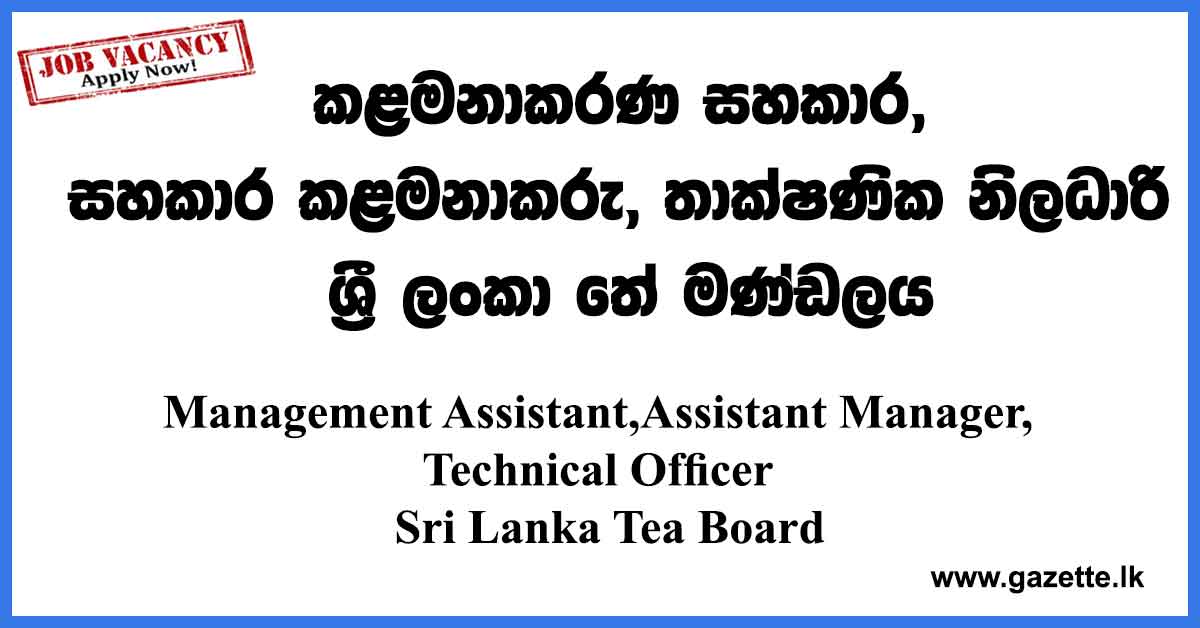 Management Assistant Assistant Manager Technical Officer Sri Lanka Management Assistant Assistant Manager Technical Officer Sri Lanka