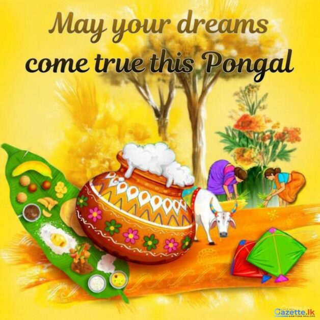 Thai Pongal Day 2026 - Messages, Quotes, Celebration Ideas & 150 ...