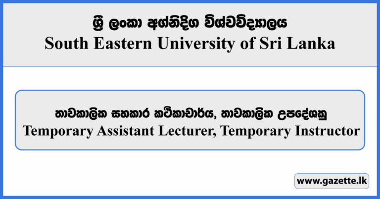 Temporary Assistant Lecturer, Temporary Instructor - South Eastern ...
